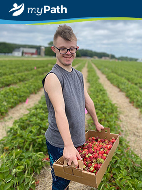 Farm with Strawberries